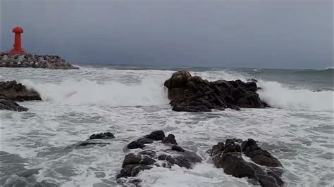 썰물 밀려오는 파도소리에 Youtube