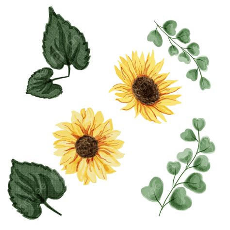 Sunflower Leaf Template
