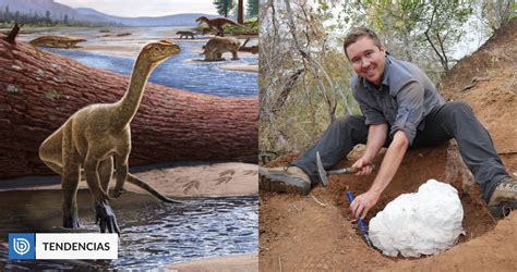 They Find The Oldest Dinosaur Fossil In Africa It Is 230 Million Years