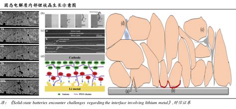 动力电池技术路线图 2024年06月 行业研究数据 小牛行研