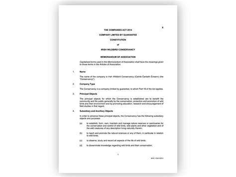 Proposed Revised Memorandum And Articles Of Association June 2023