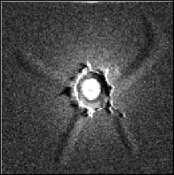 Catching The Sources Of Organic LED Degradation In Action