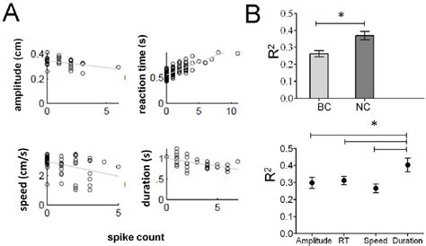 Correlations Between The Kinematic Parameters Of Movement And The