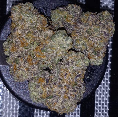 Wizard Trees Never Fails Straintea Time Rweedporn