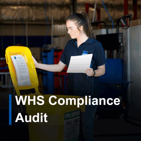 Whs Compliance Audit Motor Trade Association Sant