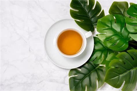 Ch De Boldo Para Digest O Receitas De