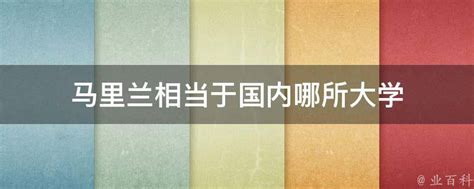 马里兰相当于国内哪所大学 业百科
