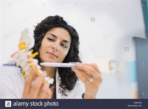 Female Doctor Explaining Spine Model Stock Photo Alamy