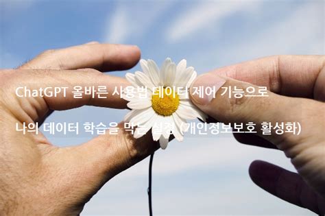 Chatgpt 올바른 사용법 데이터 제어 기능으로 나의 데이터 학습을 막는 설정 개인정보보호 활성화