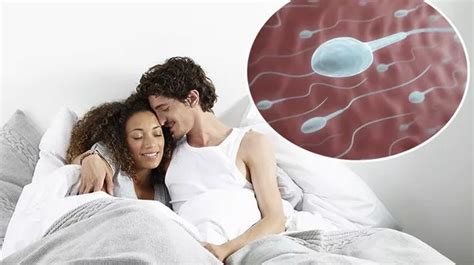 Size Really Does Matter When It Comes To Sex But We Re Talking About SPERM WARS Mirror Online