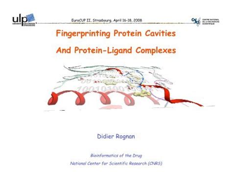 Fingerprinting Protein Cavities And Protein Ligand Complexes