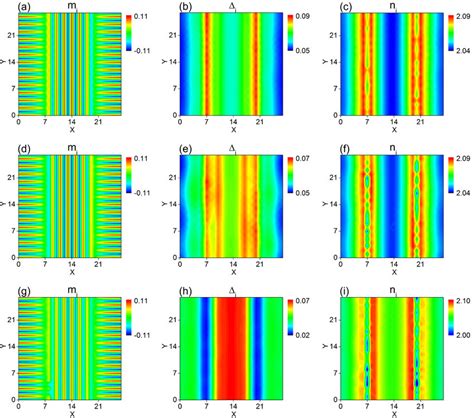 The Spatial Profiles Of Magnetic Order Superconducting Order And
