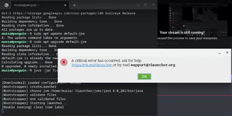 Friend Trying To Install Tlauncher On Chromebook Critical Error R Tlauncher