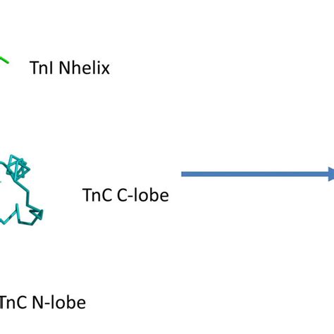 Multiscale Docking Protocol Using The Cabs Dock Program Download