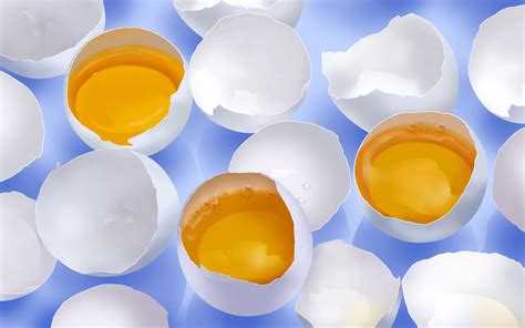 다채로운 음식 배경 화면 11 1920x1200 배경 화면 다운로드 다채로운 음식 배경 화면 다른 배경 화면 V3 벽지 역