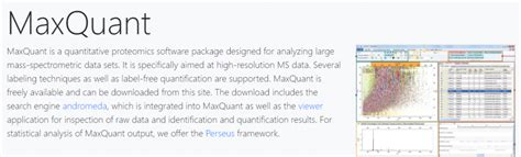Maxquant 蛋白质组dda数据分析金标准 Omics Hunter
