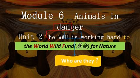 Module 6 Unit 2 The WWF is working hard to save them all 课件 共25张PPT