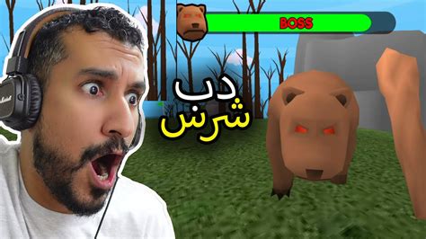 الهروب من المدرسة واجهة دب الغابة Youtube