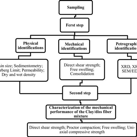 Flow Chart Of Testing Programme Download Scientific Diagram