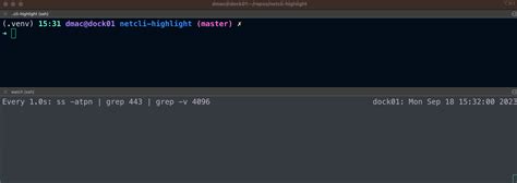 IPv6 Issues With Python Package Managers DMAC Tech