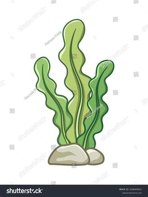 Seaweed Animated Drawing