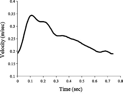 Inlet Velocity Wave Used For Preliminary Pulsatile Flow Simulations