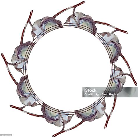 하얀 목화 꽃 식물 꽃입니다 수채화 배경 그림 설정 합니다 프레임 테두리 장식 스퀘어입니다 그리기에 대한 스톡 벡터 아트 및 기타 이미지 Istock