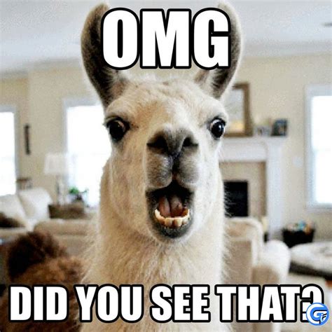 Omg Meme S Images 100 Free Pfp Buon 
