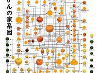 家系図のアイデア 8 件 家系図 系図 果物 種類
