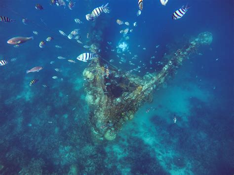Shipwreck Diving In Coron Palawan In The Year 2024