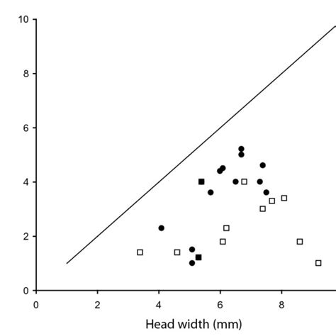 The Positive Relationship Between Head Width And Maximum Diameter Of Download Scientific