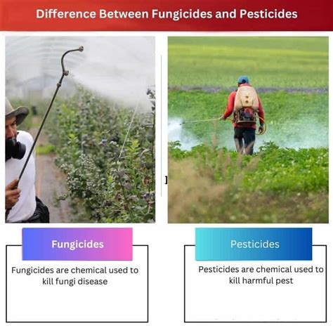 Fungicides Vs Pesticides Difference And Comparison