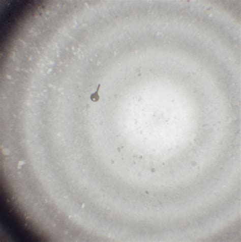 Helicopter Key Panicore Wiki Fandom