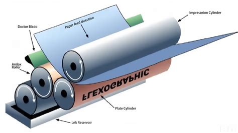 What Is Flexographic Printing Complete Guide To Flexo Printing Process
