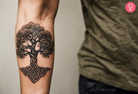 Tree Tattoos Designs Ideas And Meaning Tattoos For You Oak Tree