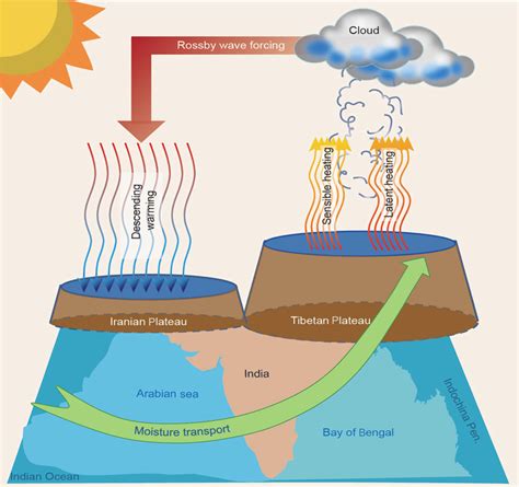 schematic of a feedback coupling system composed of thermal forcing