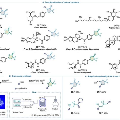 Scale Up And Synthetic Applications A Late Stage Functionalization Download Scientific
