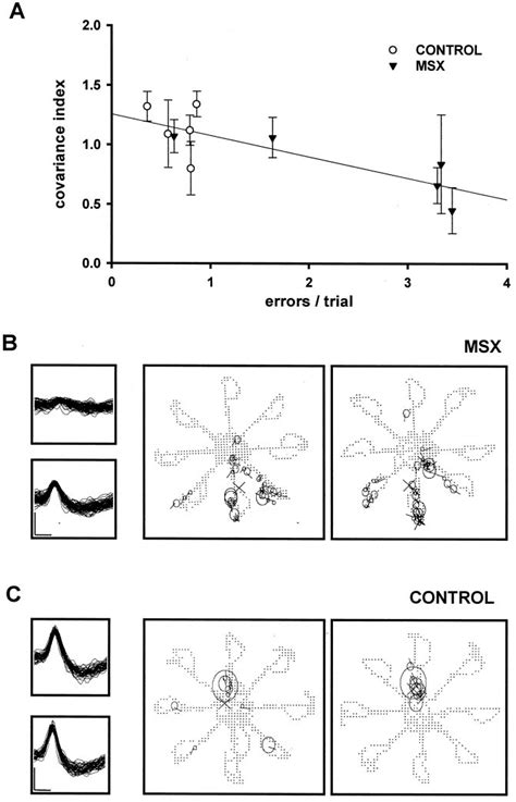 Less Reliable Location Dependent Activity Of Hippocampal Complex Spike
