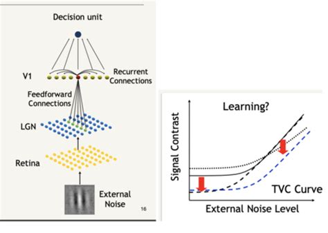 Learning As Improved Inference Flashcards Quizlet