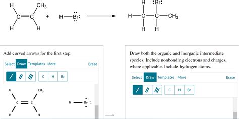 Solved Add Curved Arrows For The First Step Chegg Com