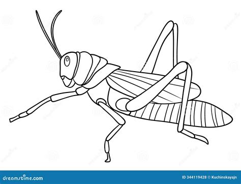 Grasshopper Vector Drawing 93323518
