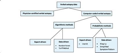 Classification Of Verbal Autopsy Interpretation Methods Download Scientific Diagram