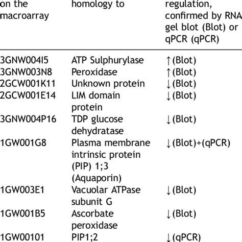 Root Gene Candidates Identified In A Cdna Macroarray Screen For P