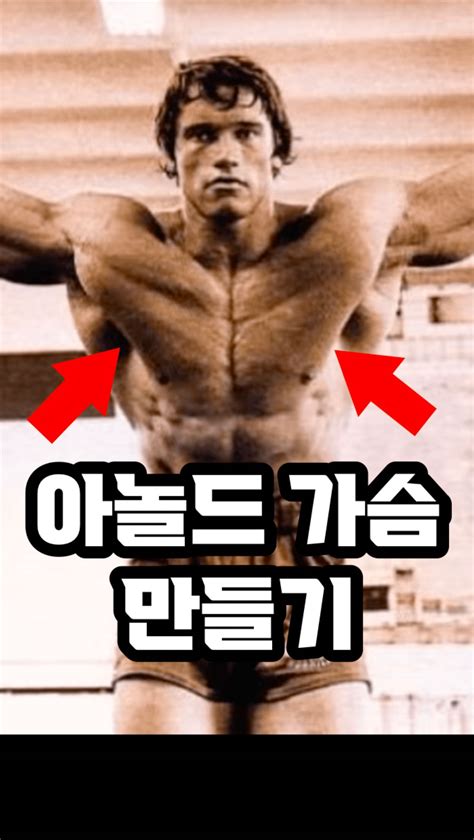 물리치료사 박태준 교수로 진화중🆙⬆️ 운동 주 몇회 하시나요 궁금하신 정보 댓글로 알려주세요 감사합니다 헬스 근성장