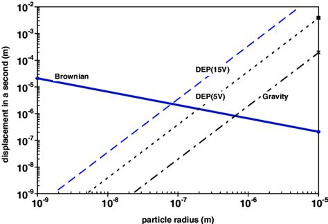 Particle Displacement In 1 S Versus Particle Radius For A Particle Of Download Scientific