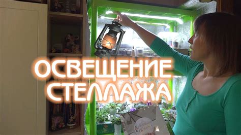 Освещение фиалок дома | Стеллаж | Советы по уходу за фиалками #04 | Мои ...