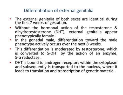 Disorder Of Sex Development Pdf Disorder Of Sex Development Pdf