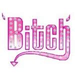 Significado De Bitch En Ingl S Y Sexy Bitch