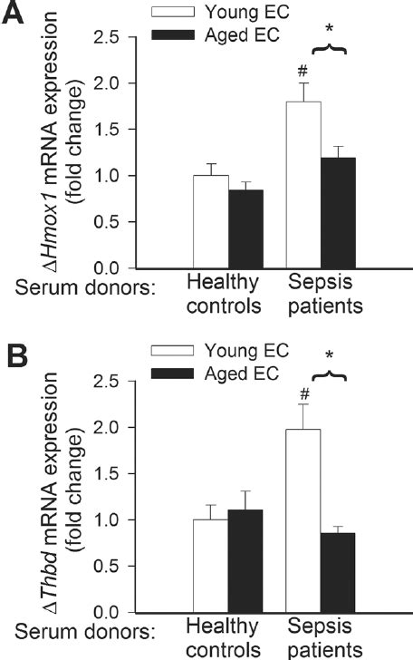 Quantitative Real Time Rt Pcr Data Showing That Treatment With Sera Download Scientific Diagram