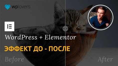Эффект До После Было Стало в Elementor для Wordpress Youtube